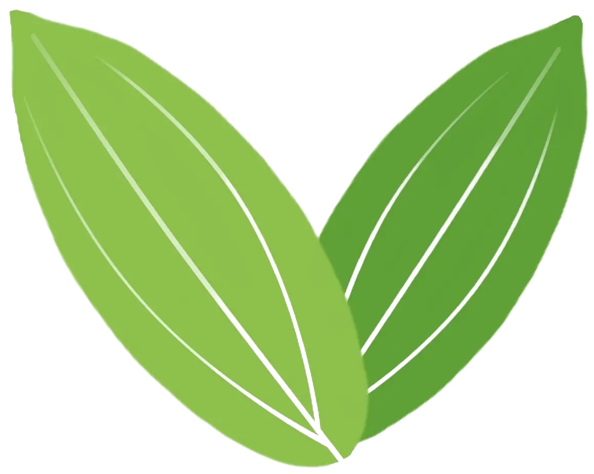 Ceylon Cinnamons - The Taste of Paradise – Ceylon Cinnamons Limited